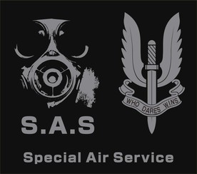 SAS图标图片大全,SAS图标设计素材,SAS图标模板下载,SAS图标图库_昵图网 soso.nipic.com